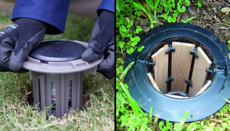 Benefits of Choosing Exterra Bait Stations for Termite Defense